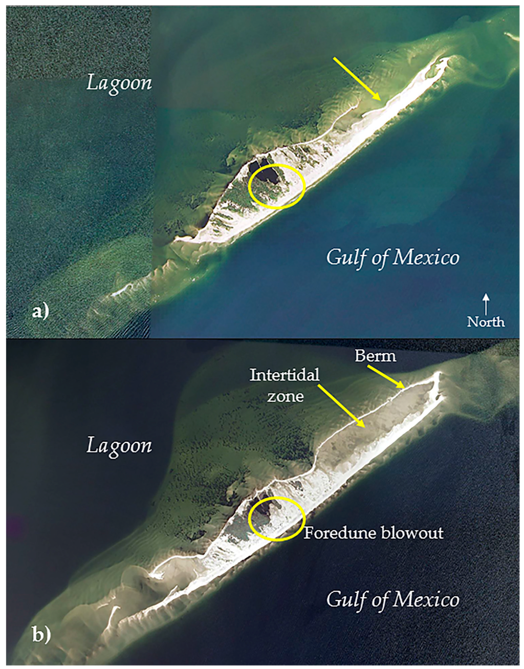 Remote Sensing Special Issue Remote Sensing In Coastal Environments