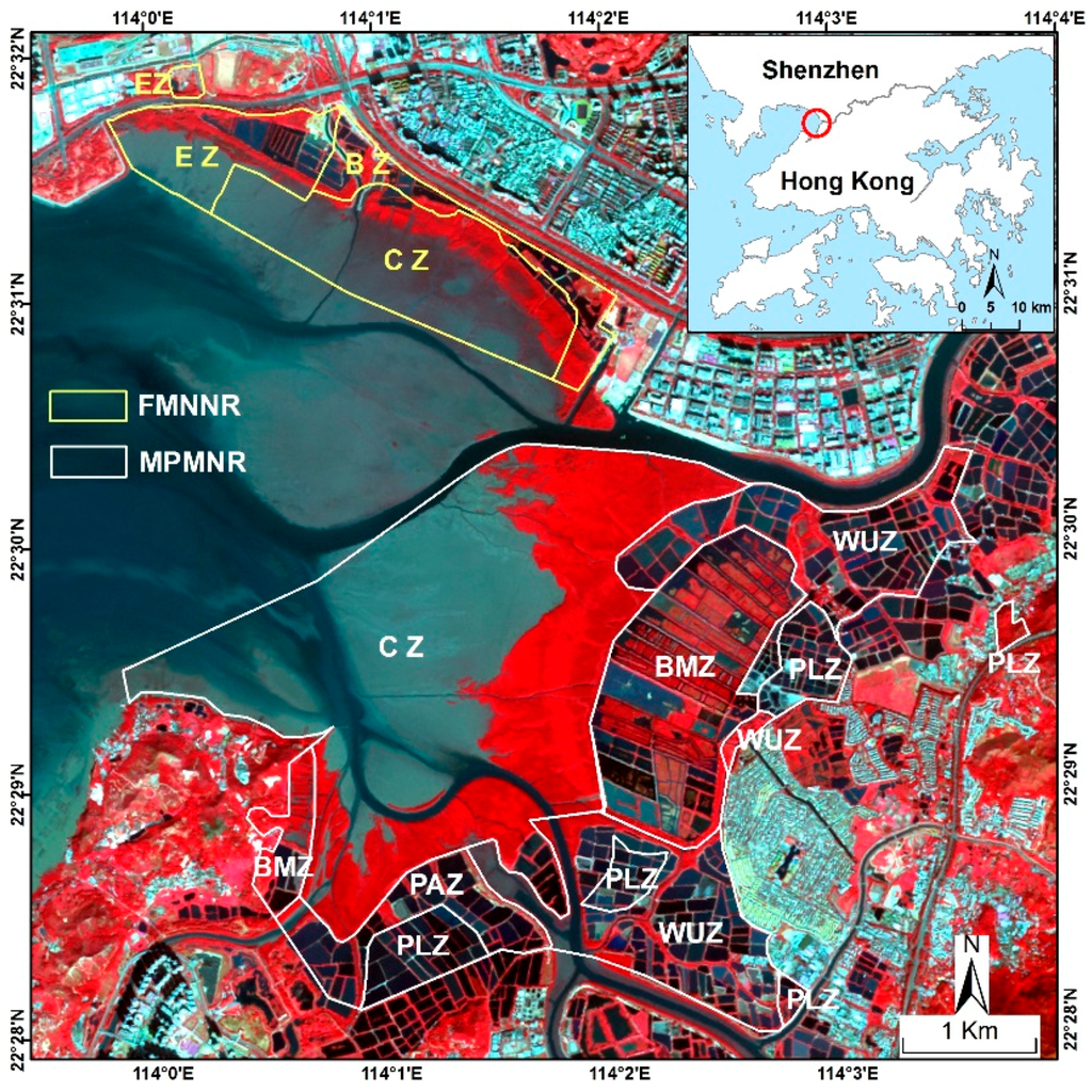 Evaluating the Effectiveness of Conservation on Mangroves: A Remote ...