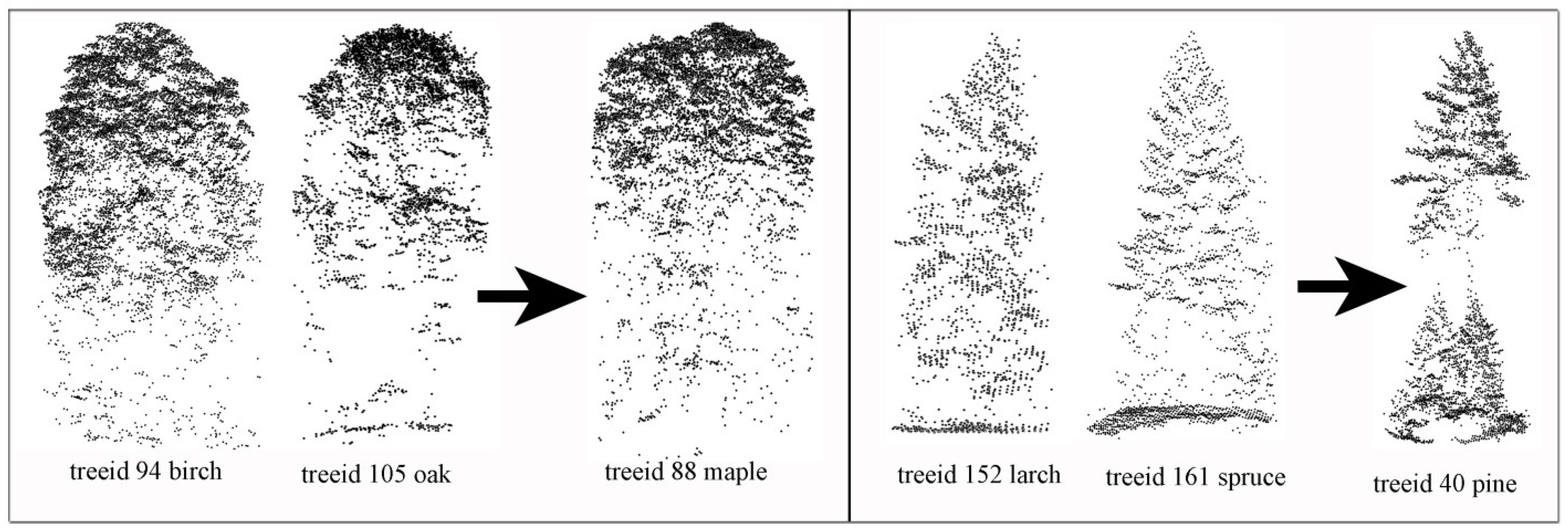 Maximizing the Diversity of Ensemble Random Forests for Tree Genera ...