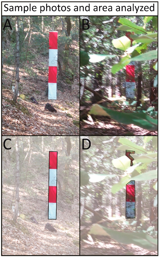 Remote Sensing | Free Full-Text | Estimating Ladder Fuels: A New ...
