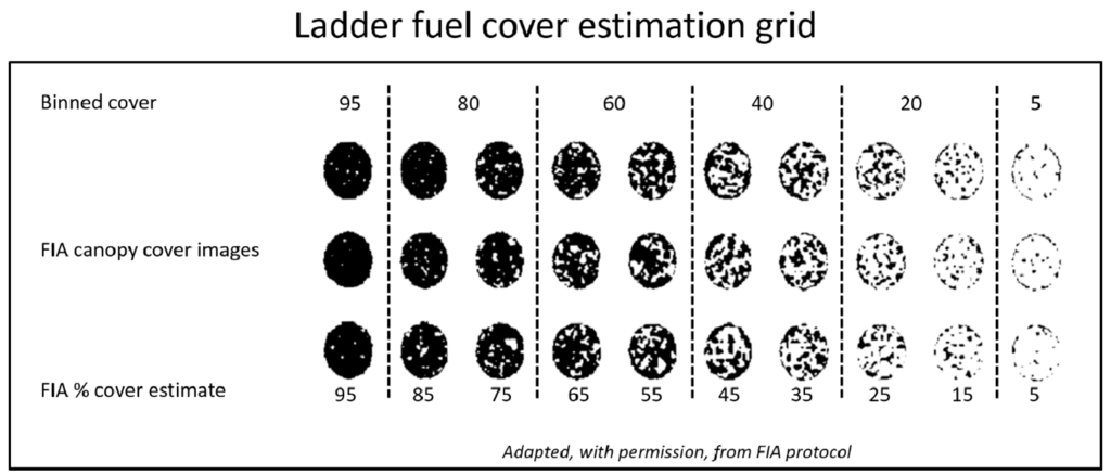 Remote Sensing | Free Full-Text | Estimating Ladder Fuels: A New ...