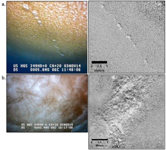 Fine-Scale Sea Ice Structure Characterized Using Underwater Acoustic ...