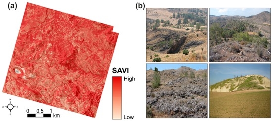 Evaluating the Use of an Object-Based Approach to Lithological Mapping ...
