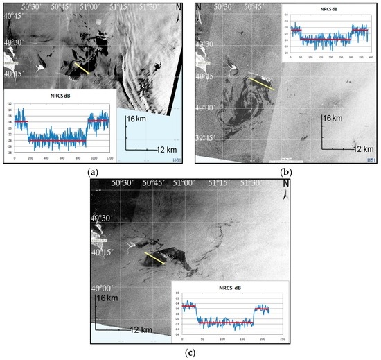 Remote Sensing | Special Issue : Remote Sensing and Oil Spill Response ...