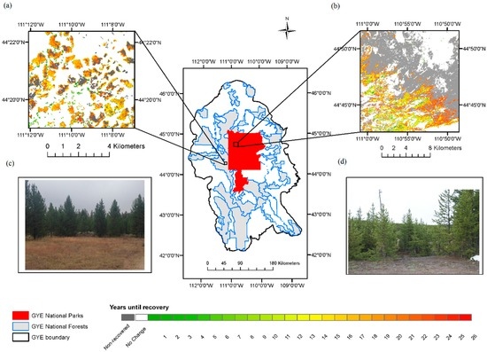 Remote Sensing | Special Issue : Remote Sensing of Forest Health