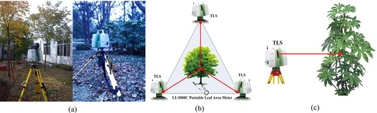 A Novel Approach for Retrieving Tree Leaf Area from Ground-Based LiDAR