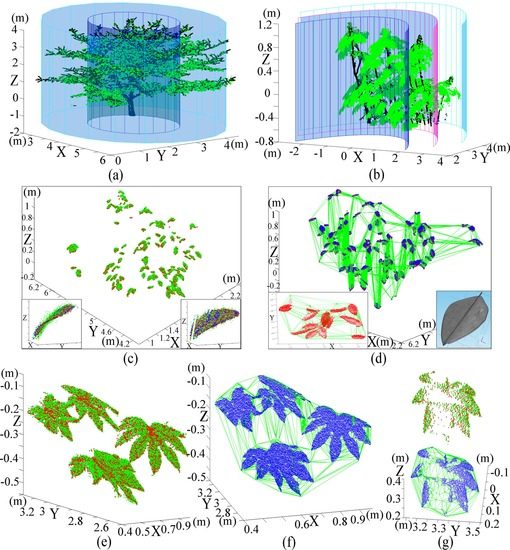 A Novel Approach for Retrieving Tree Leaf Area from Ground-Based LiDAR