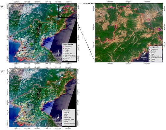 Mapping Deforestation in North Korea Using Phenology-Based Multi-Index and Random Forest