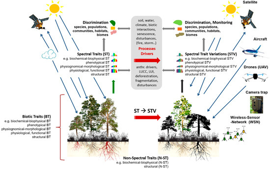 Remote Sensing | Special Issue : Remote Sensing of Forest Health