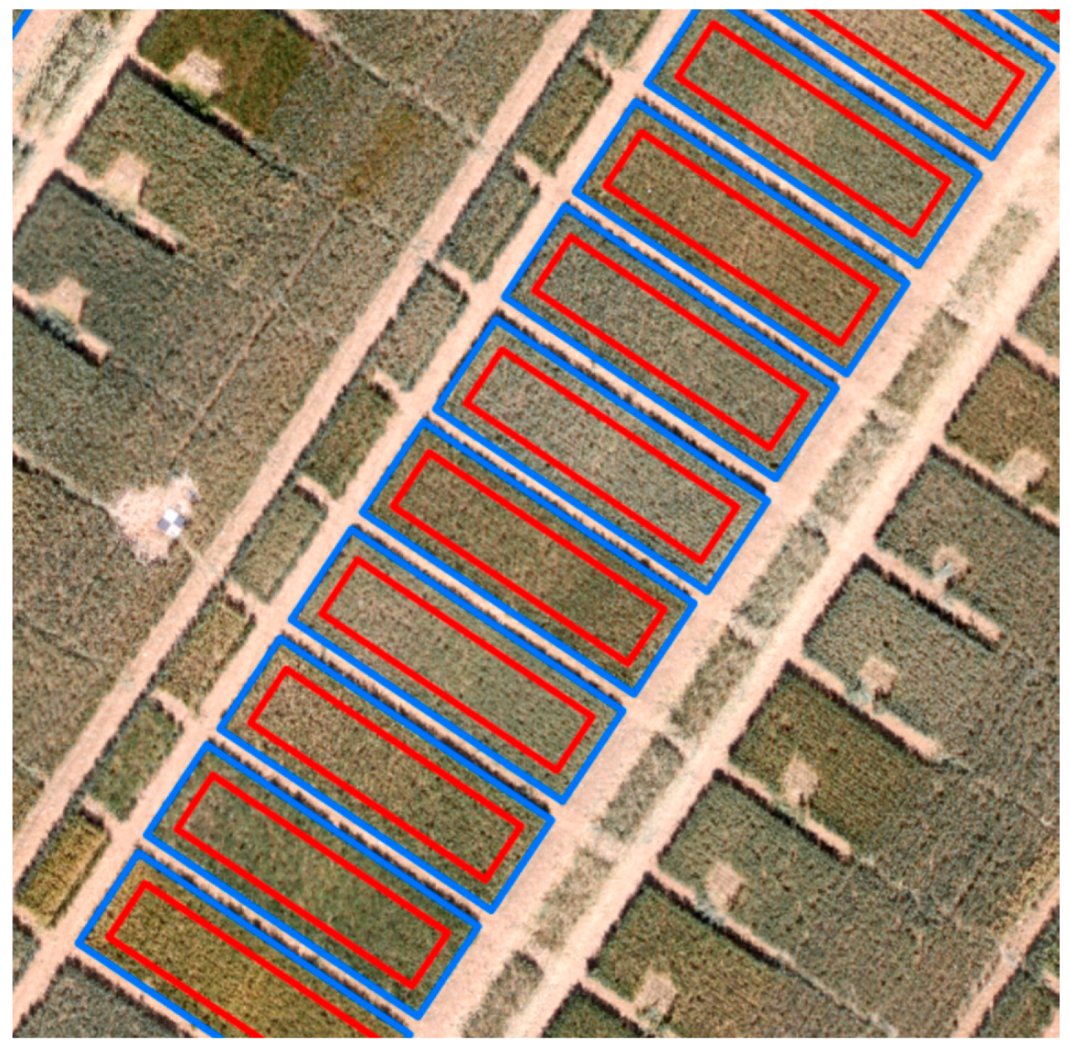 High Throughput Field Phenotyping of Wheat Plant Height and Growth Rate ...