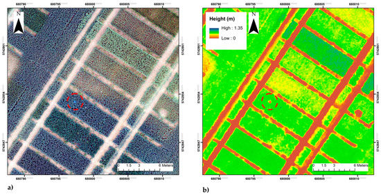 High Throughput Field Phenotyping of Wheat Plant Height and Growth Rate ...