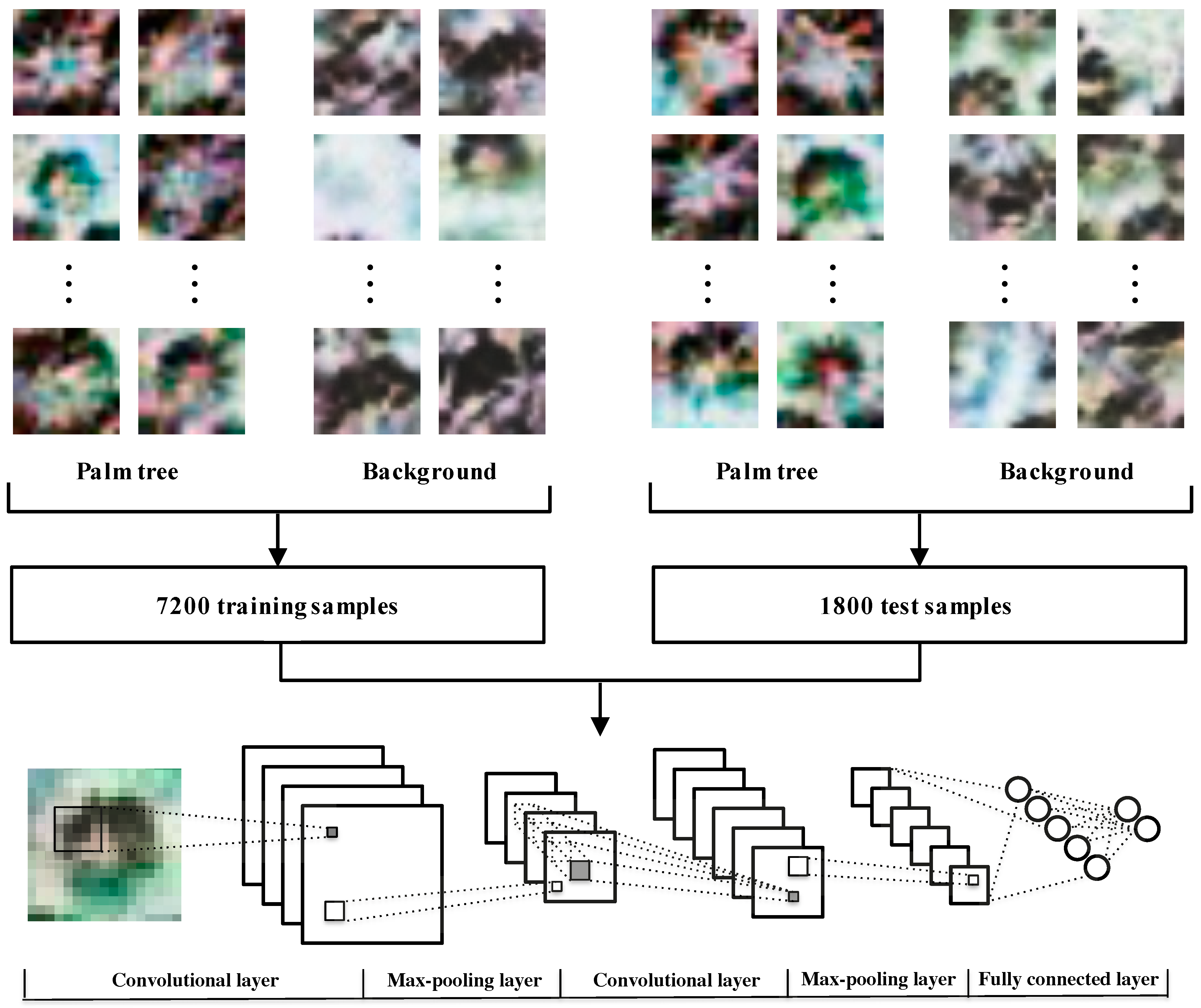 Remote Sensing Free Full Text Deep Learning Based Oil Palm Tree