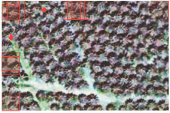 Deep Learning Based Oil Palm Tree Detection and Counting for High ...