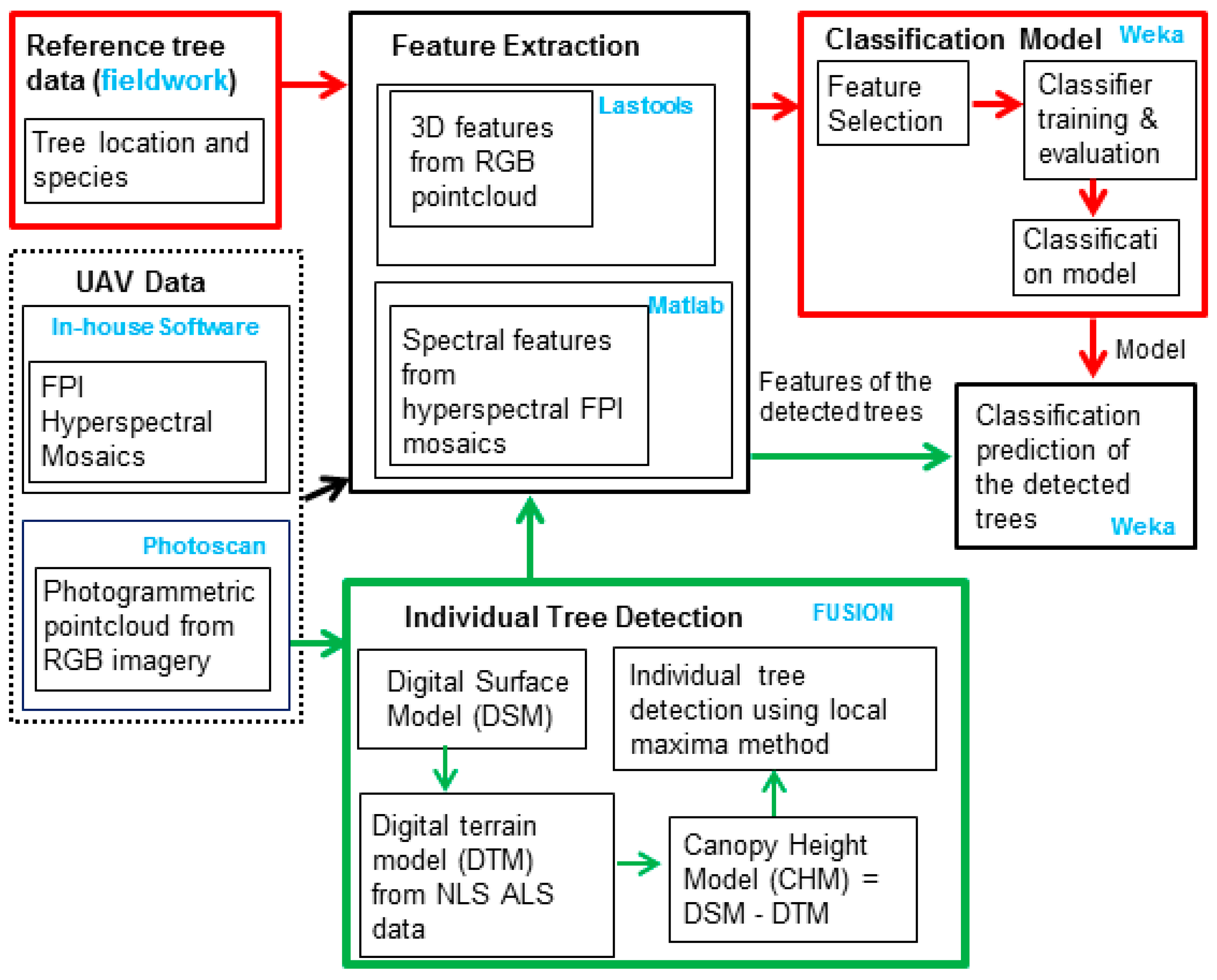 Remote Sensing | Free Full-Text | Individual Tree Detection and ...
