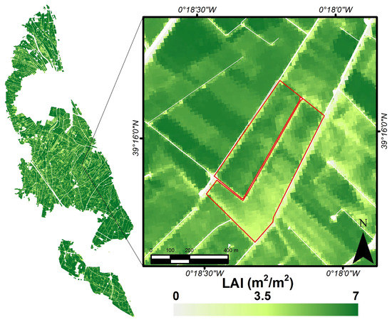 Exploitation of SAR and Optical Sentinel Data to Detect Rice Crop and ...