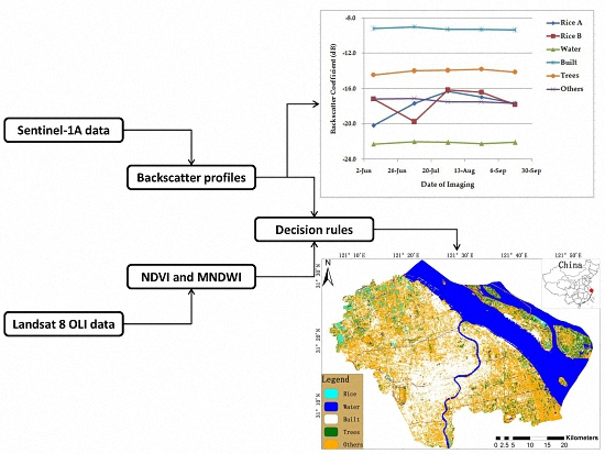Remote Sensing | Free Full-Text | Mapping Rice Fields in Urban Shanghai ...