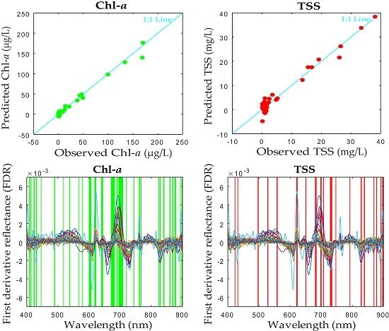 Remote Sensing | Free Full-Text | Retrieval of Chlorophyll-a and Total ...