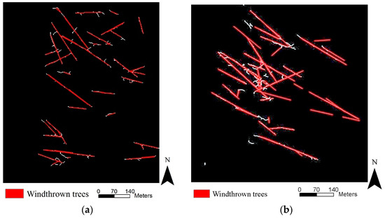A Novel Approach for Coarse-to-Fine Windthrown Tree Extraction Based on ...