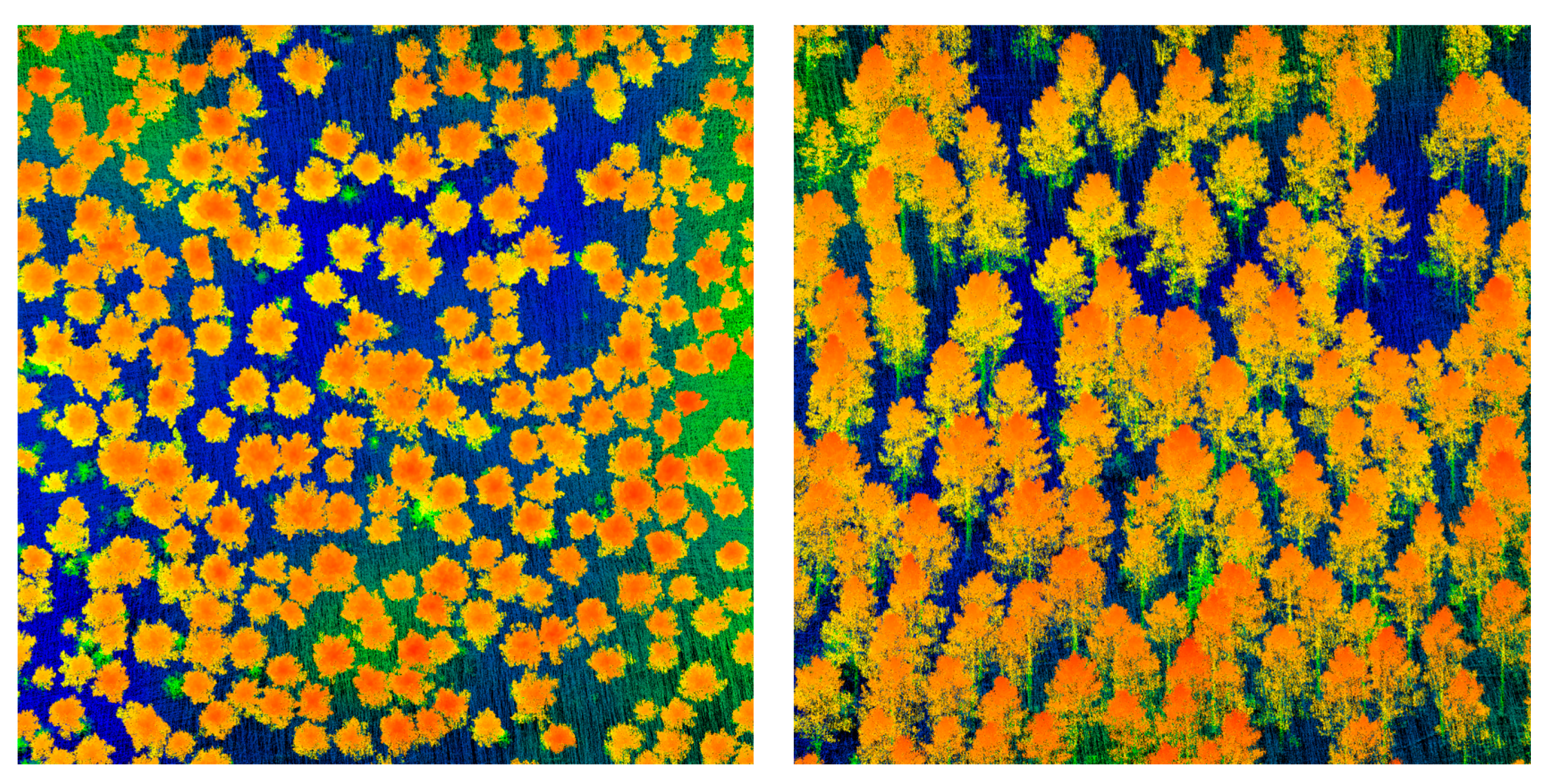 Autonomous Collection of Forest Field Reference—The Outlook and a First ...