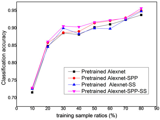 Pre-Trained AlexNet Architecture with Pyramid Pooling and Supervision ...