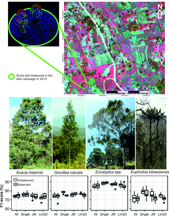 Remote Sensing | Free Full-Text | Classification of Tree Species in a ...