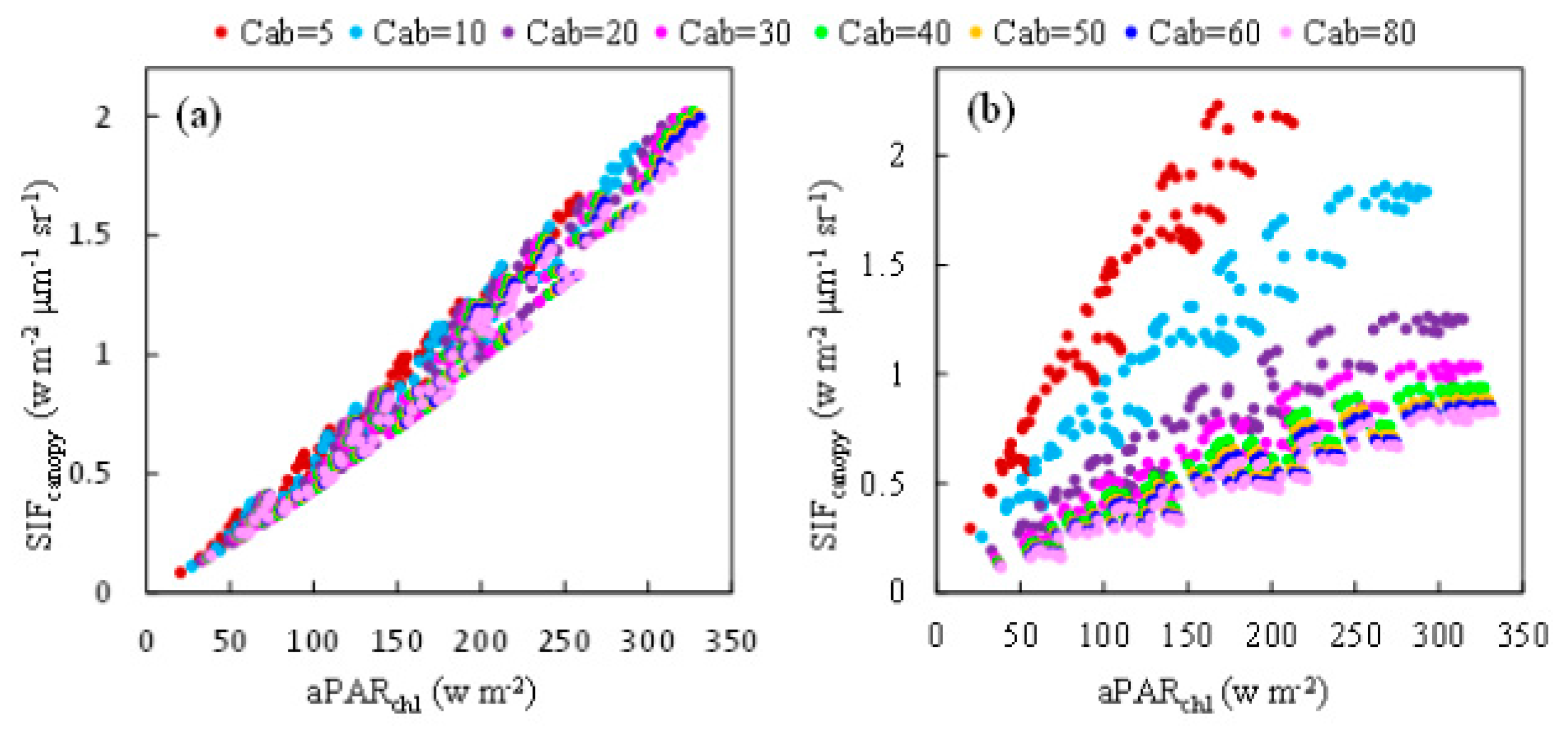 Response of Canopy Solar-Induced Chlorophyll Fluorescence to the ...