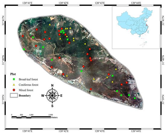 Remote Sensing | Free Full-Text | Estimating Forest Structural Parameters Using Canopy Metrics ...
