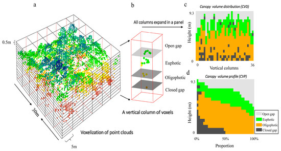 Remote Sensing | Free Full-Text | Estimating Forest Structural Parameters Using Canopy Metrics ...