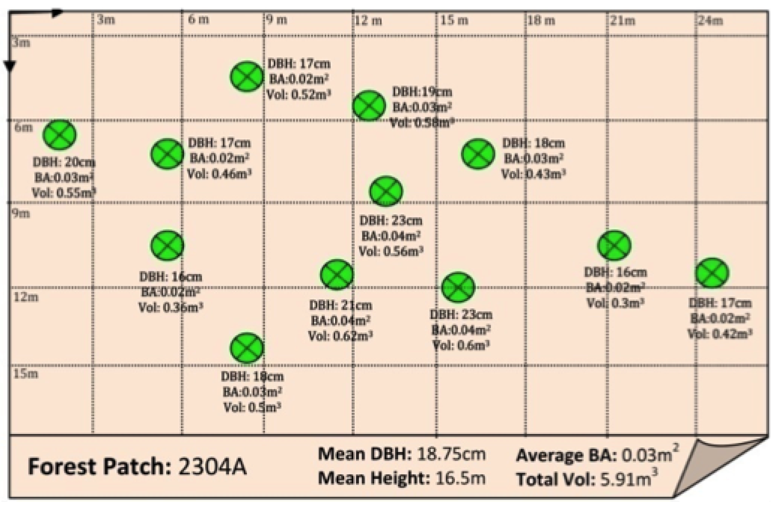 Automatic Detection and Parameter Estimation of Trees for Forest Inventory Applications Using 3D ...