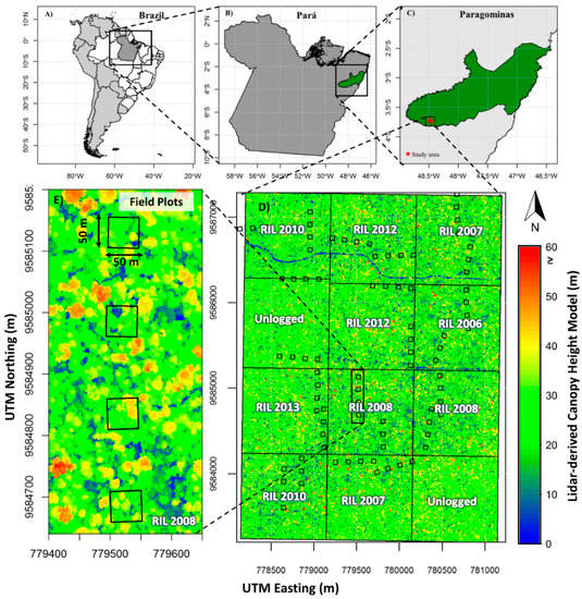Impacts of Airborne Lidar Pulse Density on Estimating Biomass Stocks ...