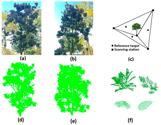 Estimating Leaf Area Density of Individual Trees Using the Point Cloud ...
