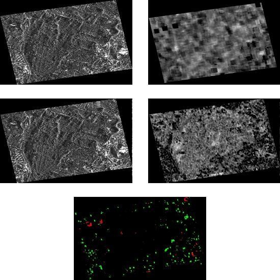 Remote Sensing | Free Full-Text | The Role of Resolution in the ...