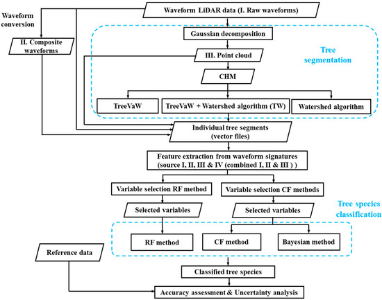 Bayesian and Classical Machine Learning Methods: A Comparison for Tree ...