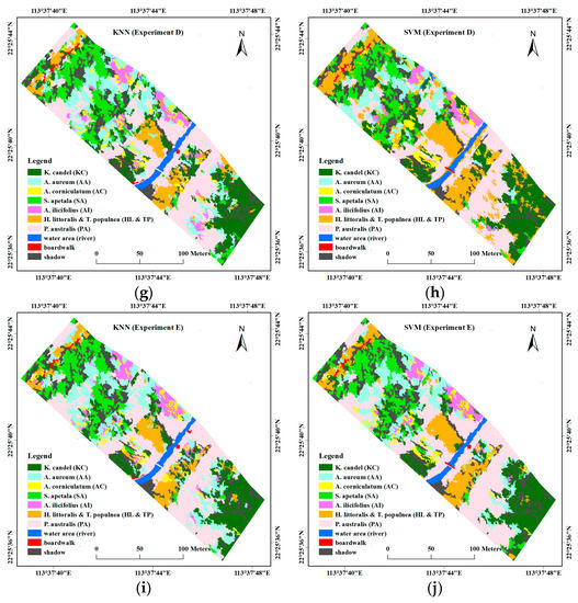 Object-Based Mangrove Species Classification Using Unmanned Aerial ...