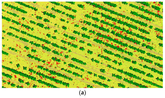 Remote Sensing | Free Full-Text | An Automatic Random Forest-OBIA Algorithm for Early Weed ...