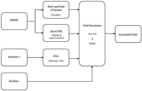Remote Sensing | Free Full-Text | Spatial Rice Yield Estimation Based ...