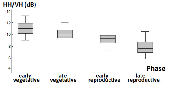 Monitoring Rice Phenology Based on Backscattering Characteristics of ...