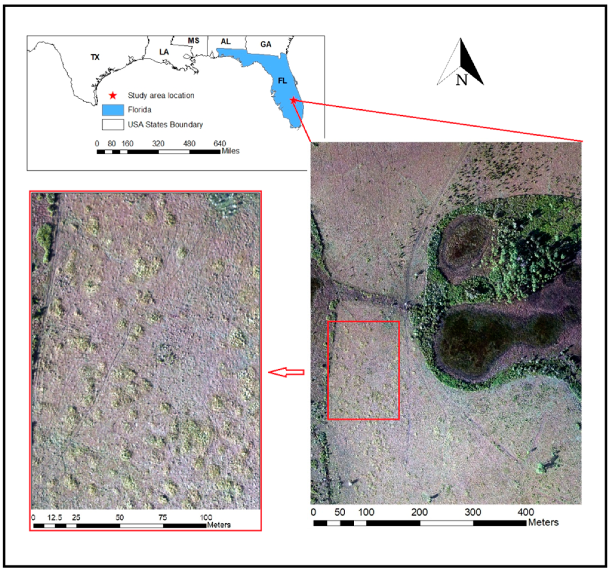 An Object-Based Image Analysis Method for Enhancing Classification of ...