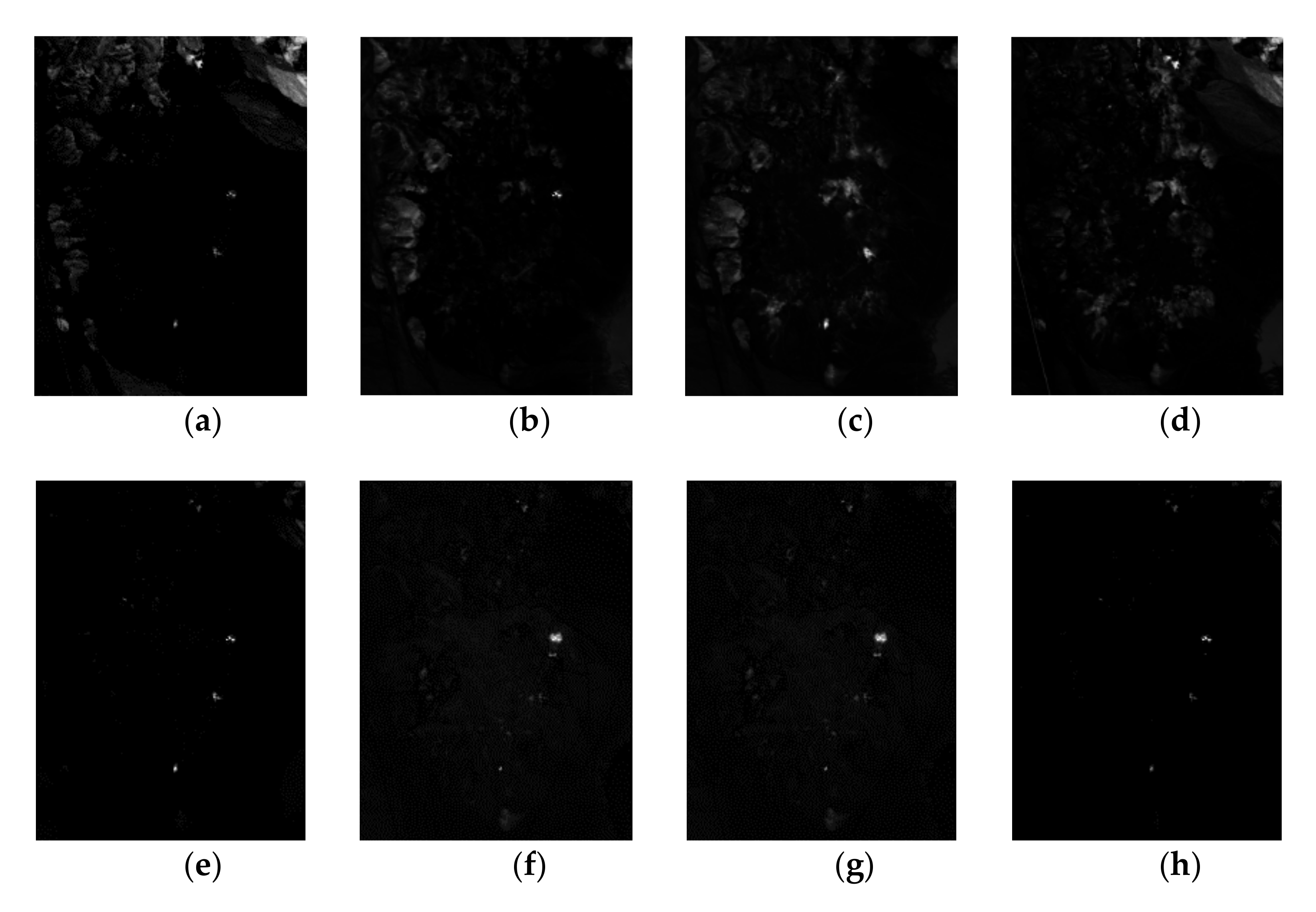 Remote Sensing | Free Full-Text | An Automatic Sparse Pruning Endmember Extraction Algorithm ...