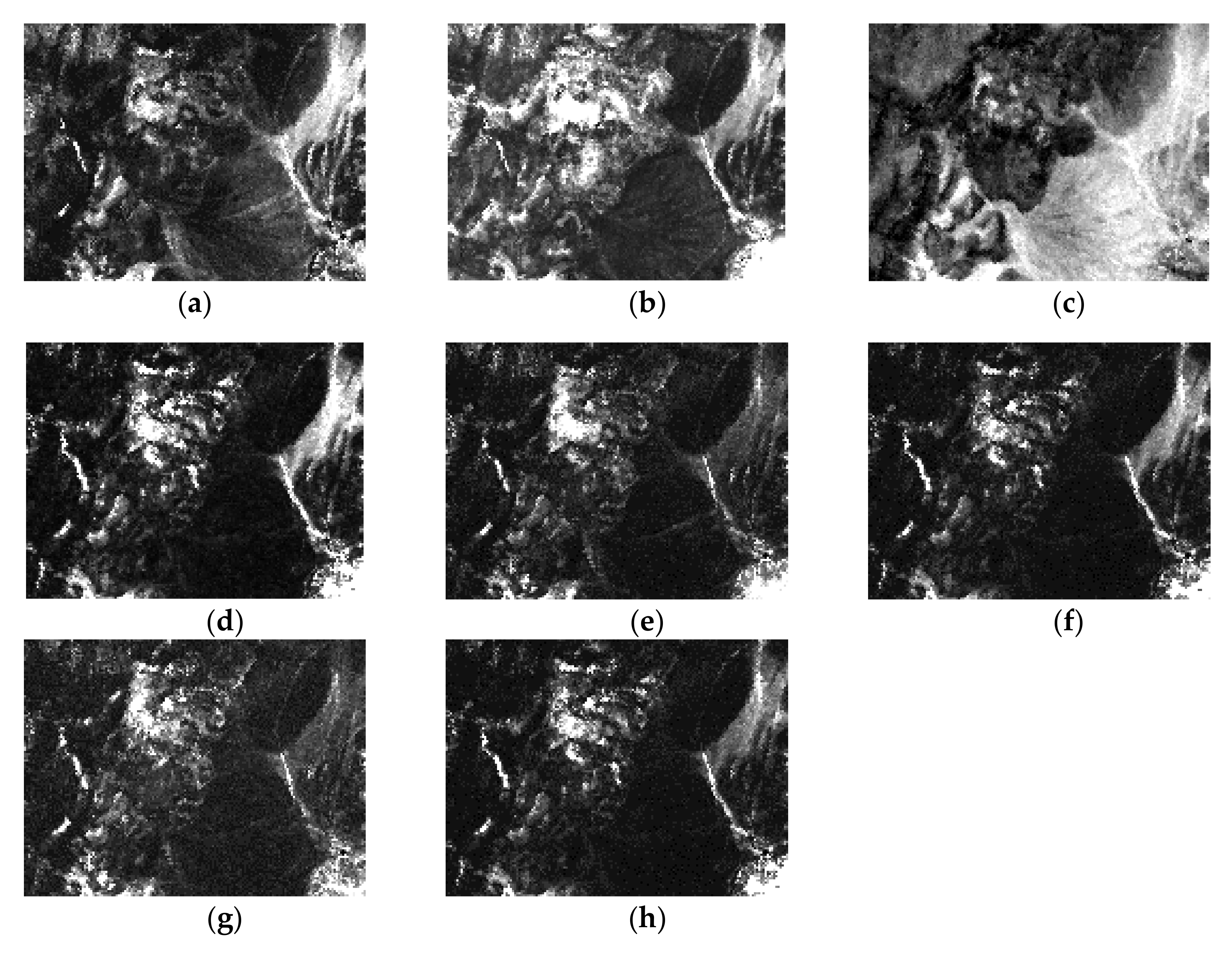 Remote Sensing | Free Full-Text | An Automatic Sparse Pruning Endmember Extraction Algorithm ...