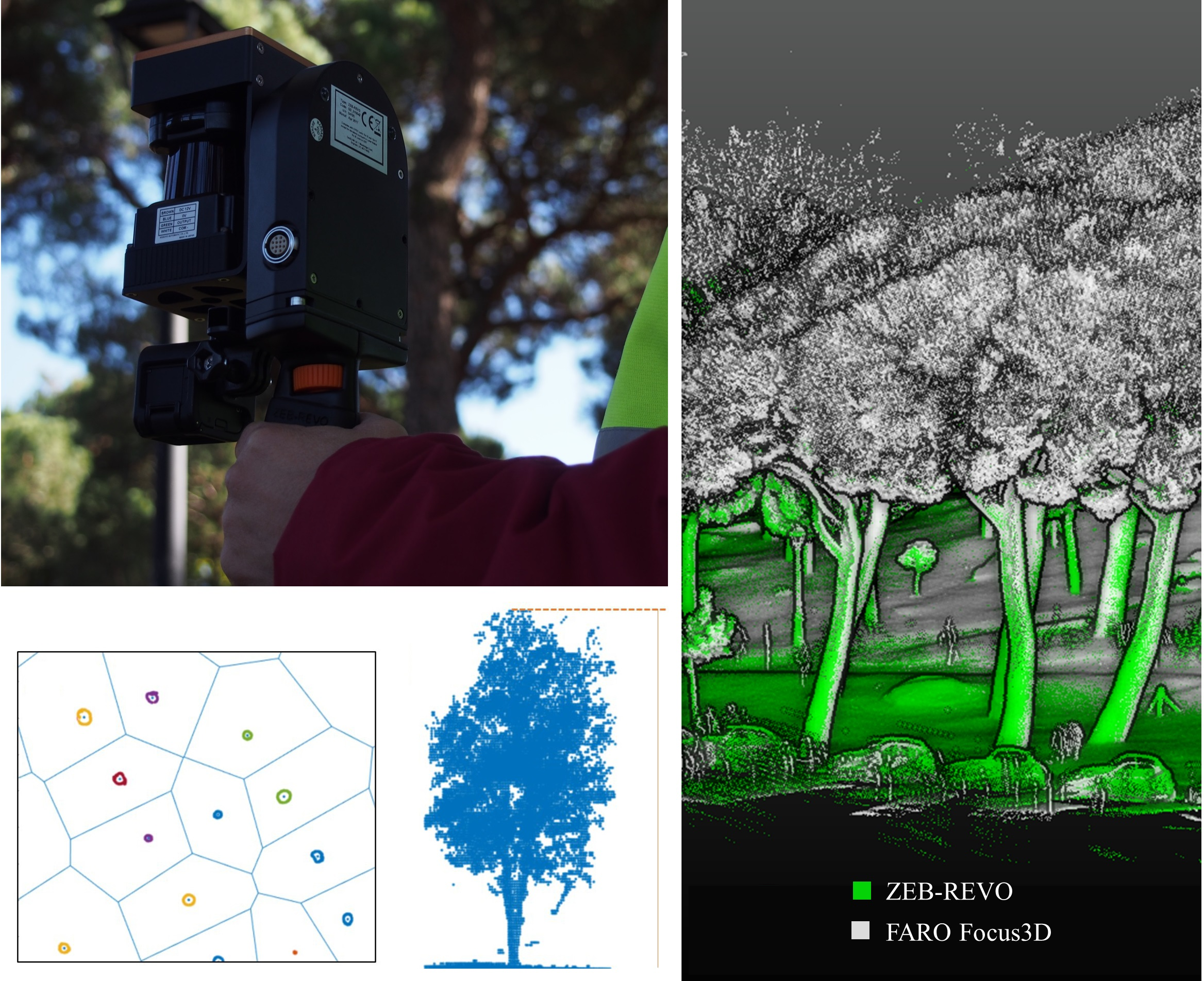 Remote Sensing | Free Full-Text | Comparing Terrestrial Laser Scanning (TLS) and Wearable Laser ...