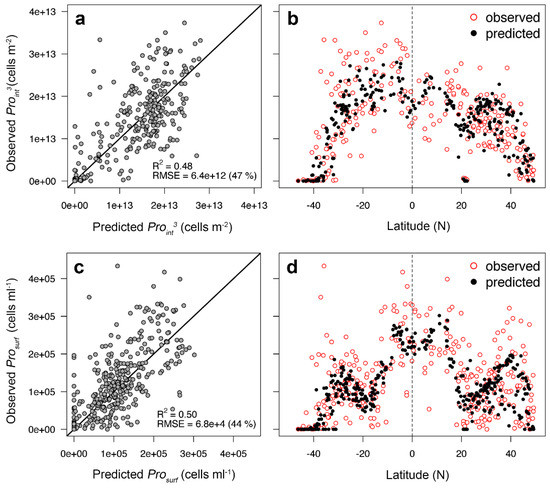 Scratching Beneath the Surface: A Model to Predict the Vertical ...