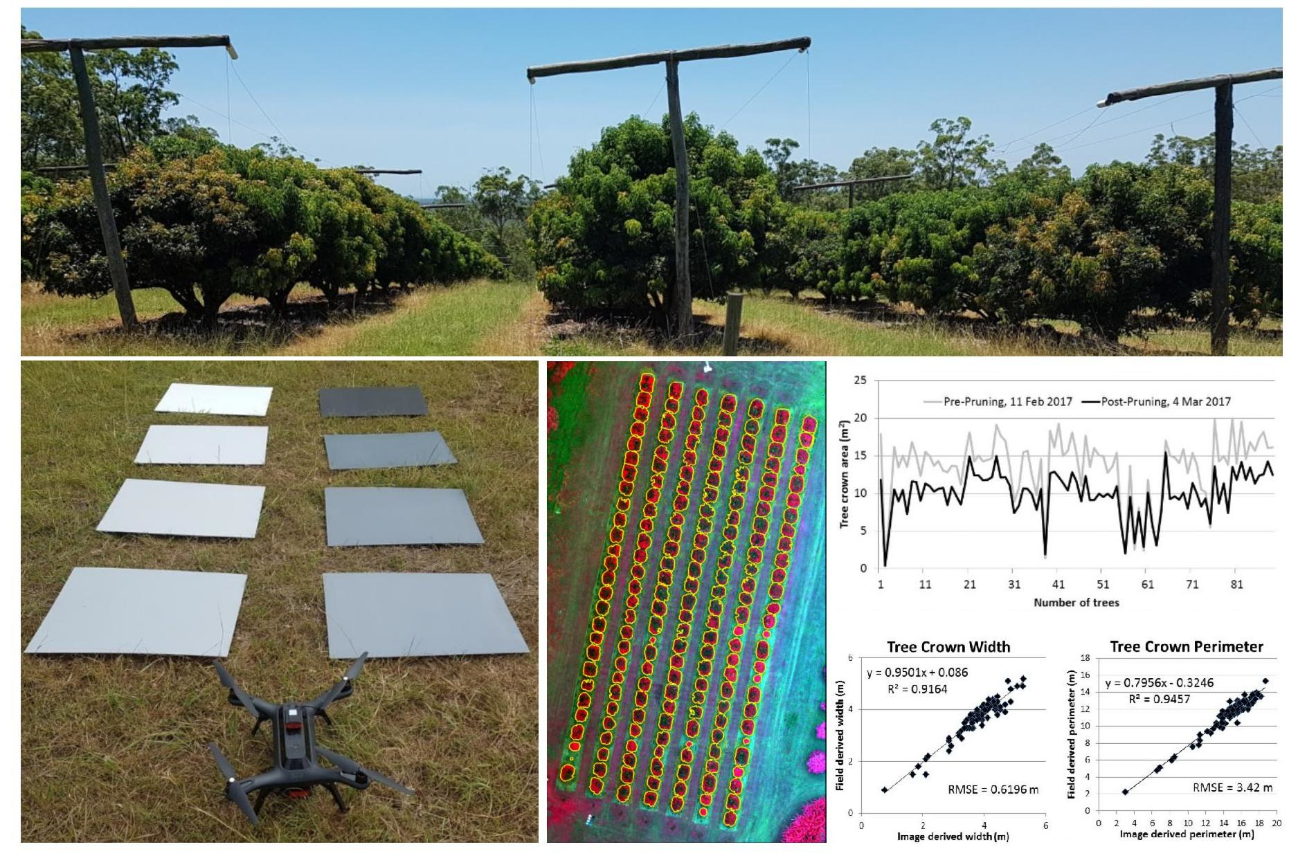 Remote Sensing | Free Full-Text | Using Multi-Spectral UAV Imagery to ...