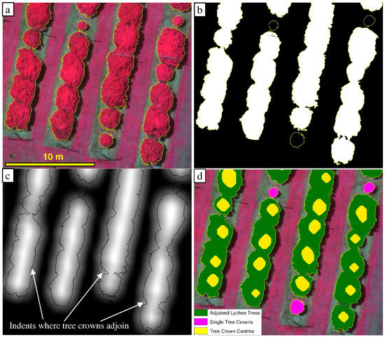 Using Multi Spectral Uav Imagery To Extract Tree Crop Structural Properties And Assess Pruning