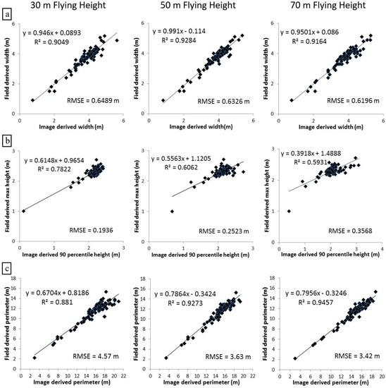 Remote Sensing | Free Full-Text | Using Multi-Spectral UAV Imagery to Extract Tree Crop ...