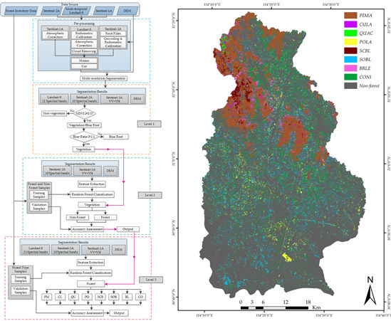 Remote Sensing | Free Full-Text | Forest Type Identification with ...