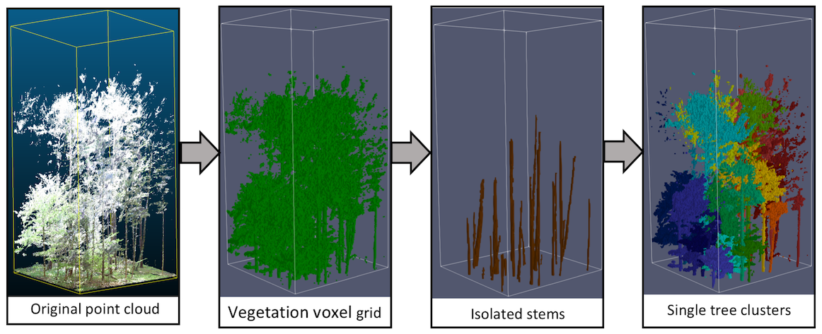 Remote Sensing Free Full Text Constrained Spectral Clustering Of Individual Trees In Dense