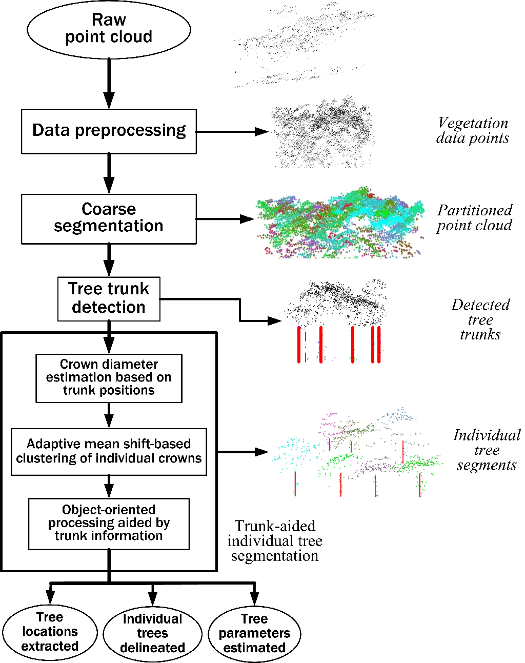 Remote Sensing Free Full Text Airborne Lidar Remote Sensing For Individual Tree Forest