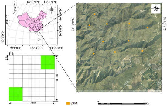 Airborne LiDAR Remote Sensing for Individual Tree Forest Inventory ...