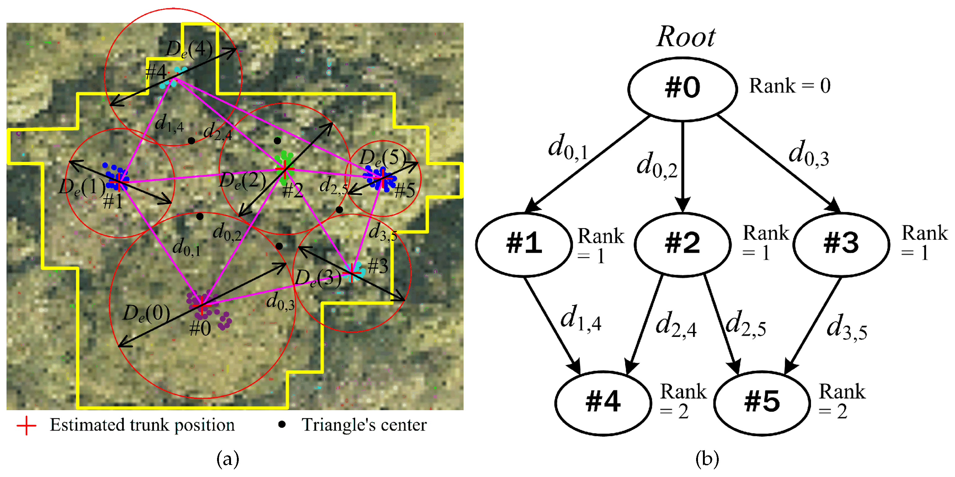 Airborne LiDAR Remote Sensing for Individual Tree Forest Inventory ...